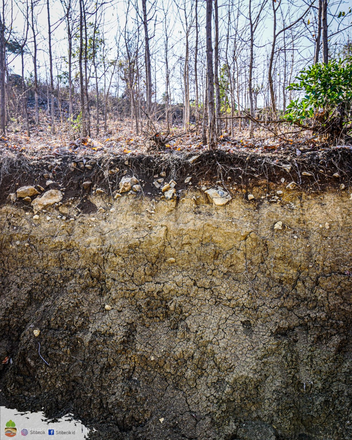 Download Buku Klasifikasi Tanah USDA, WRB-FAO, Indonesia