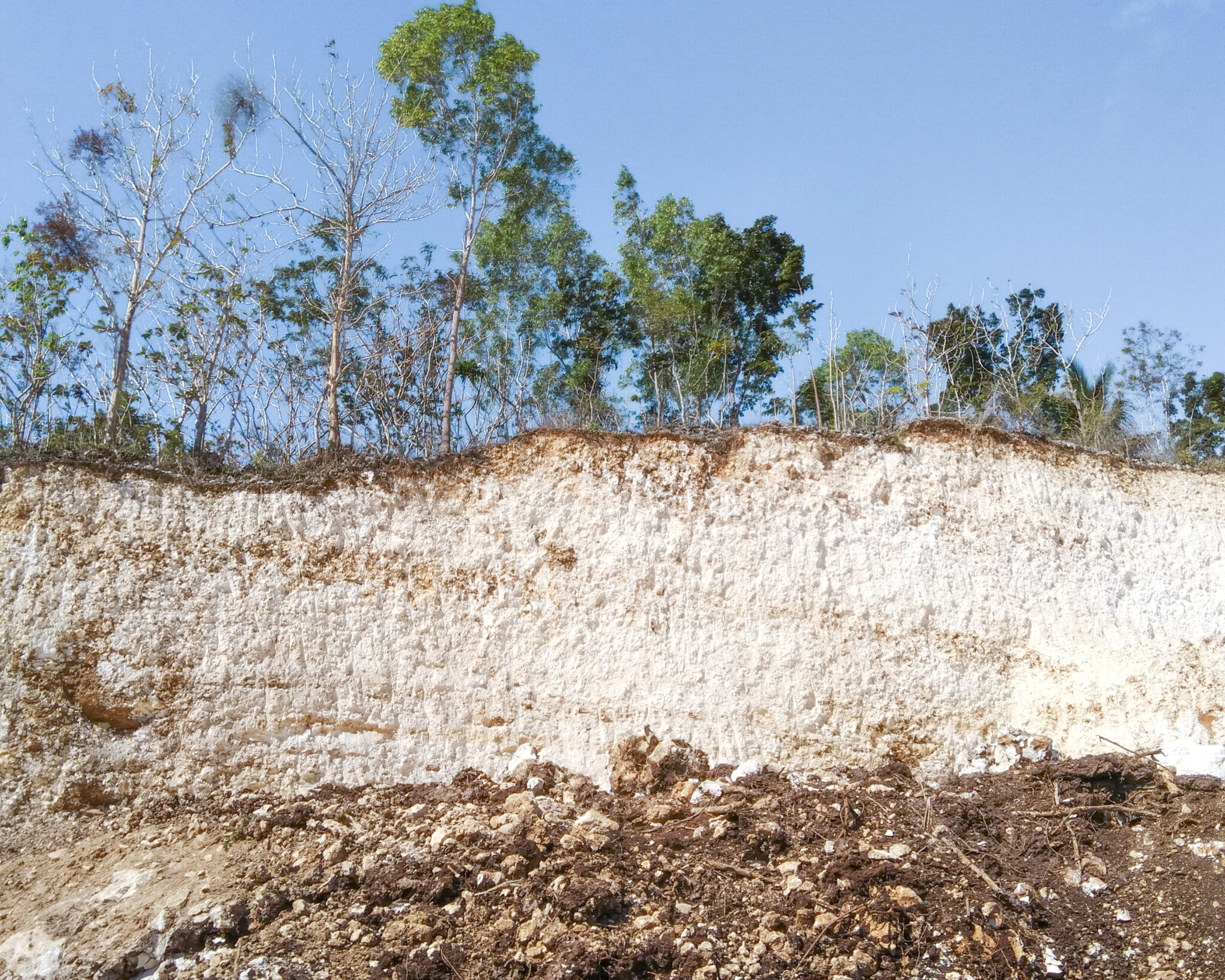 Yuk Kenal Lahan Sub Optimal (Lahan Marginal) - Sitibecik Yuk Kenal Lahan Sub Optimal (Lahan Marginal) - Sitibecik